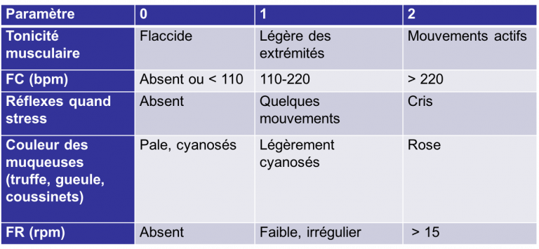 Examen clinique du nouveau-né: 2/3 premières semaines de vie ...